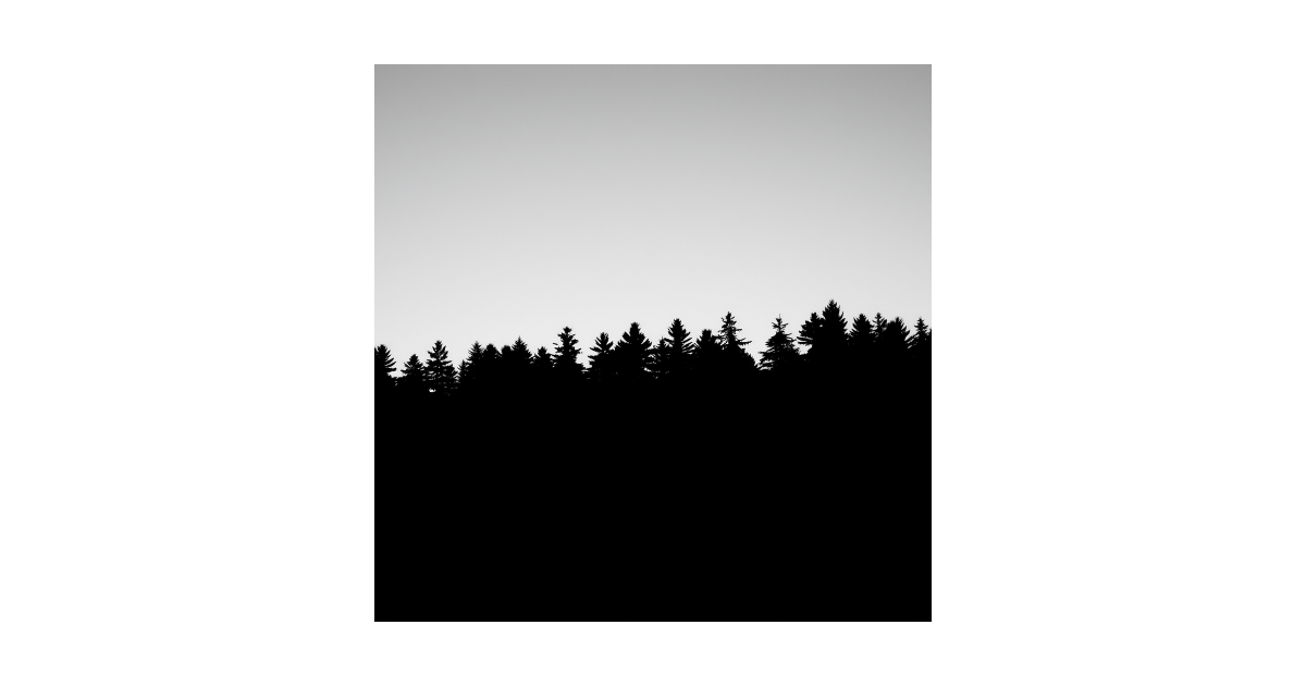 Line Of Trees, Silhouette, | AI Vector Graphic